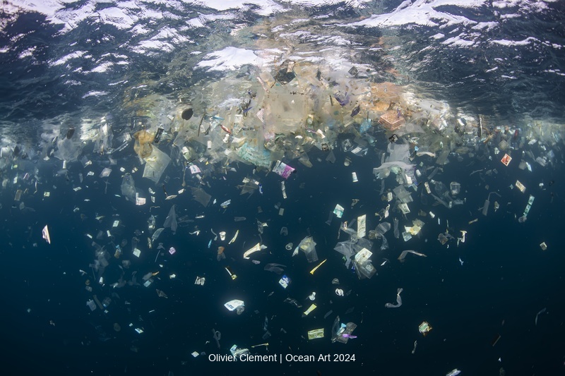 Ocean Art 2024 - 4th Place Underwater Conservation - Underwater ...