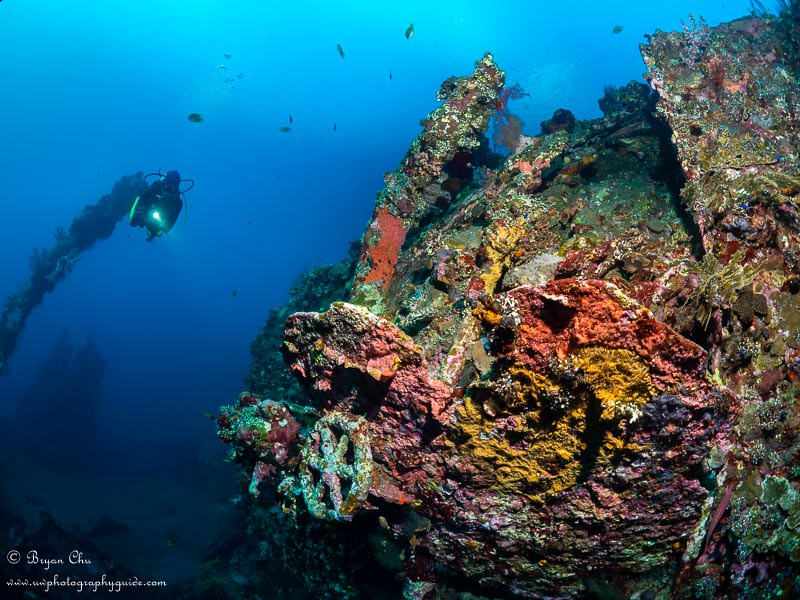 Diving Tulamben, Bali: Macro, Wide and Wreck! - Underwater Photography ...