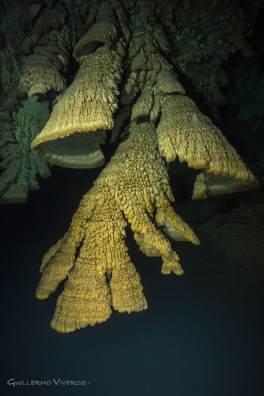 Cave Photography in Mexico's Cenotes - Underwater Photography Guide