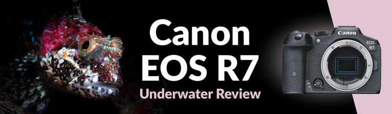 Canon EOS R7 Review - Underwater Photography Guide