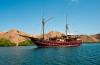 Diving on the liveaboard Arenui - Underwater Photography Guide