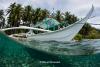 5 Tips for Awesome Over-Under Shots - Underwater Photography Guide