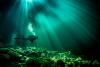 Tips to Capture Amazing Freshwater Images - Underwater Photography Guide
