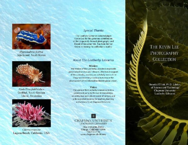 Kevin Lee's photos on permanent display - Underwater Photography Guide