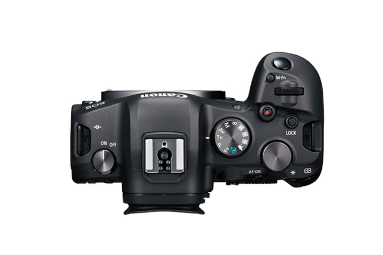 Canon EOS R6 Review - Underwater Photography Guide