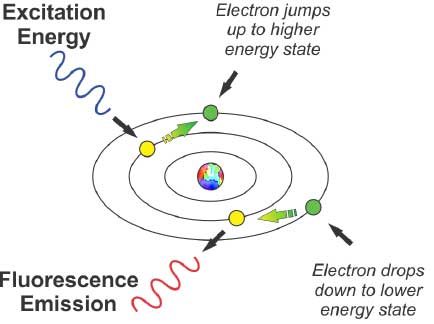 Fluoro Diving - Underwater Photography Guide