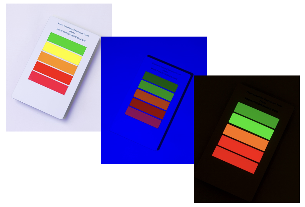 Fluoro Diving - Underwater Photography Guide