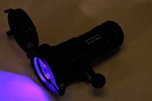 Fluoro Diving - Underwater Photography Guide